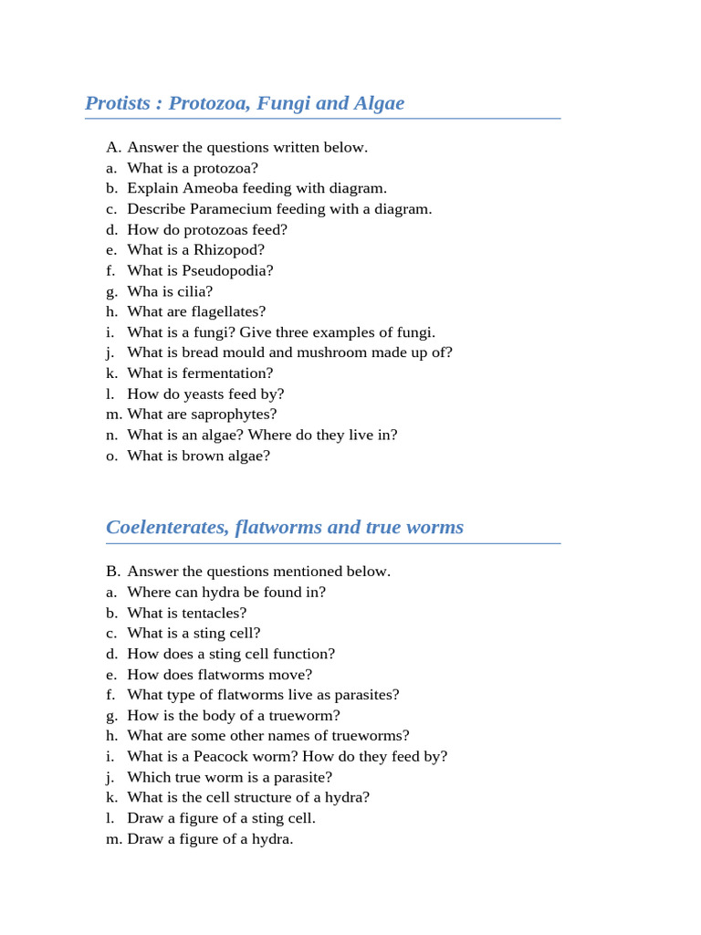 Protists | PDF | Protozoa | Fungus