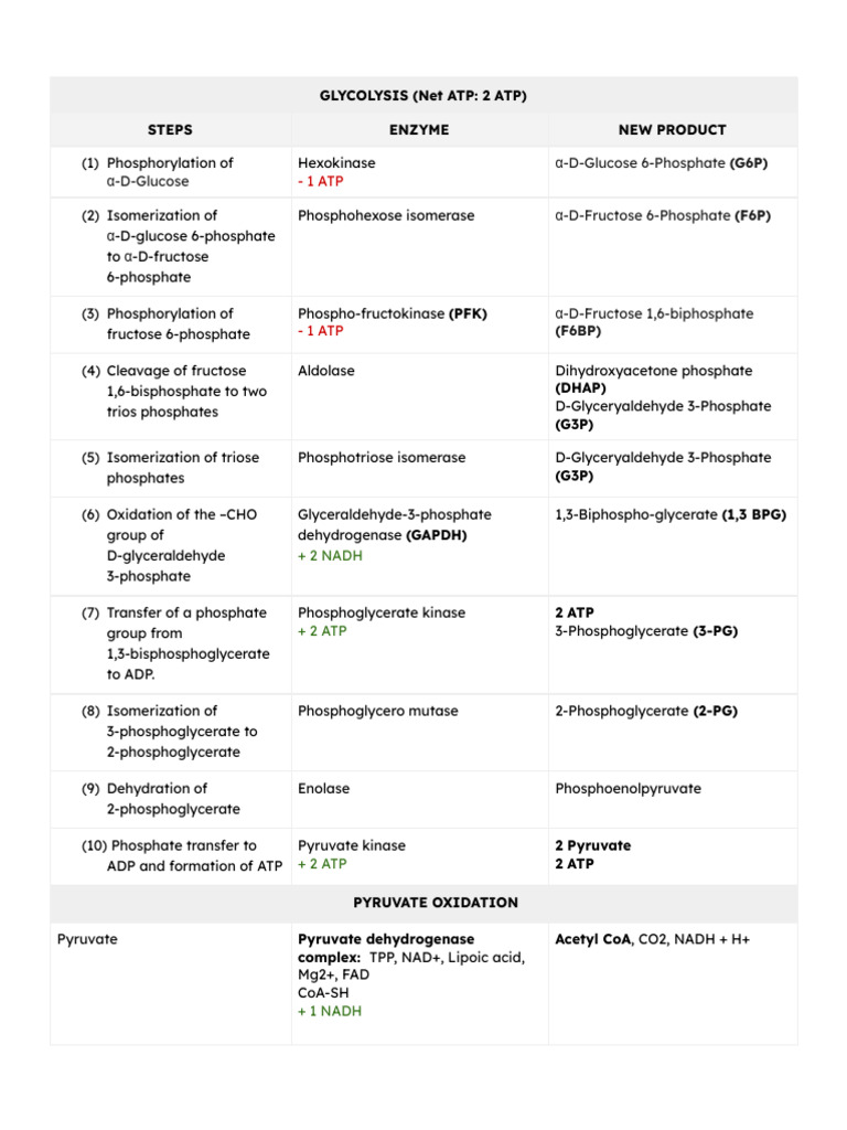 Metabolic Pathways | PDF | Adenosine Triphosphate | Glycolysis