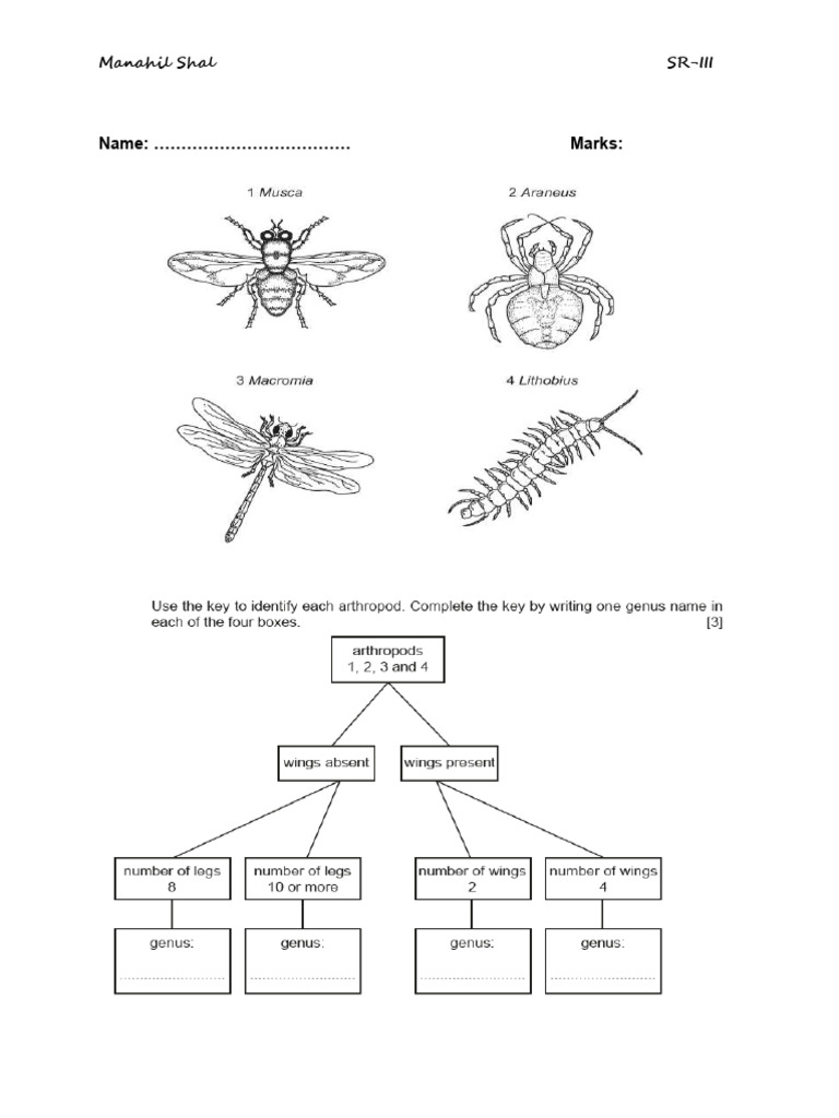 SR III Worksheet | PDF | Plants