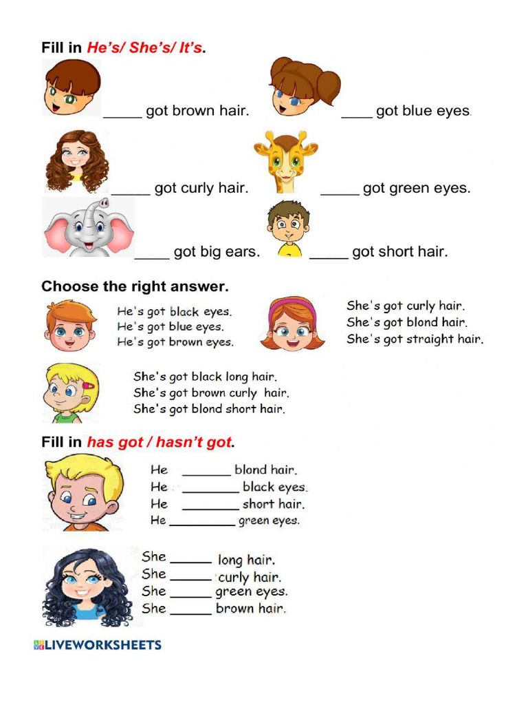 Has Got COLOR | PDF