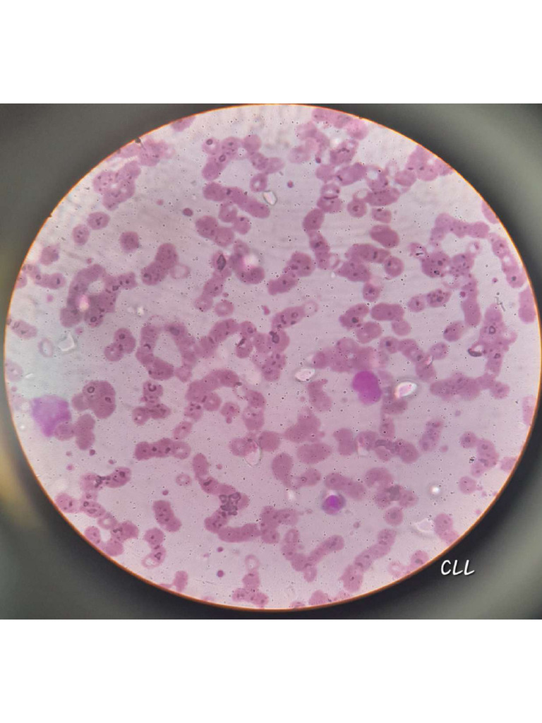 Patho Block 1 Slides | PDF