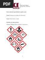 Pictogramas Del SGA | PDF