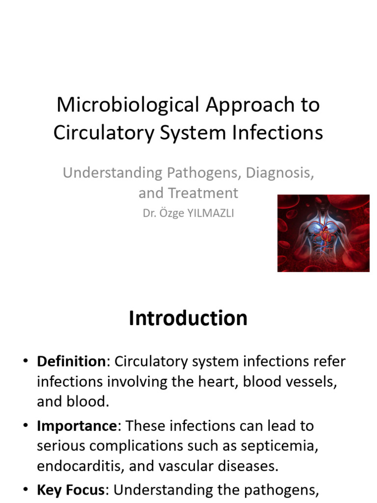 Circulatory System Infections: Pathogens & Treatment | PDF | Infection ...