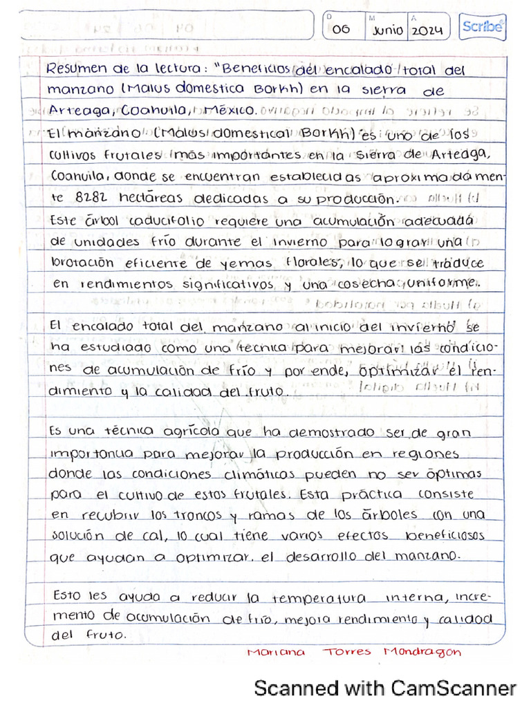 Resumen de Encalado | PDF