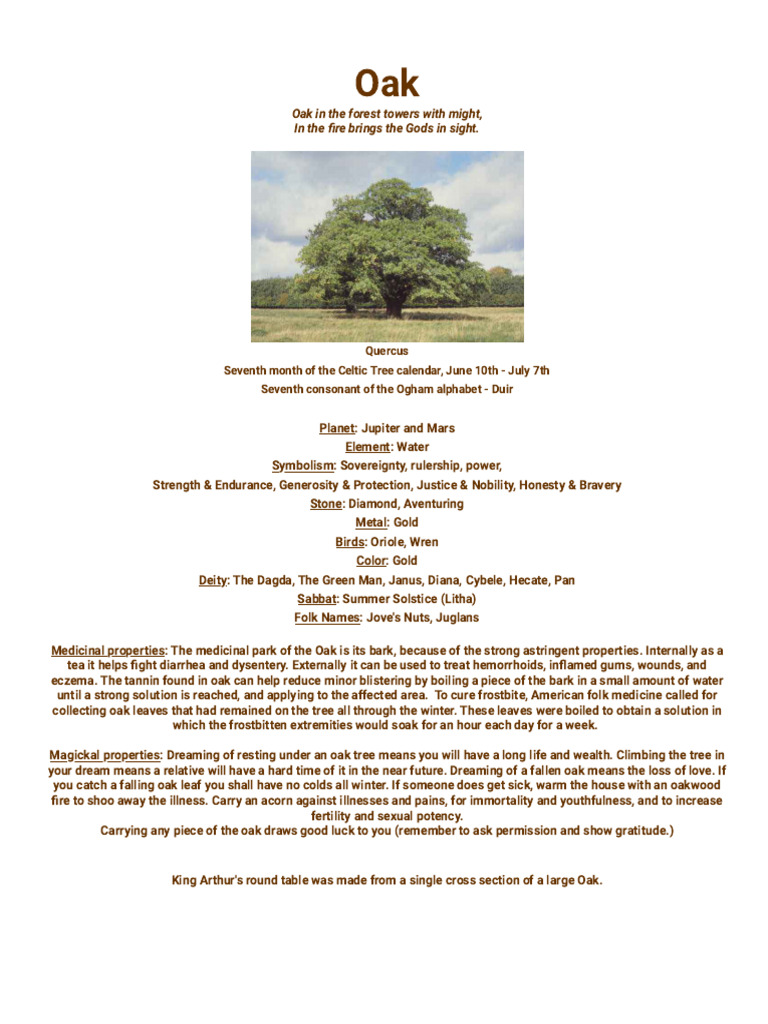 Oak | PDF | Oak | Trees