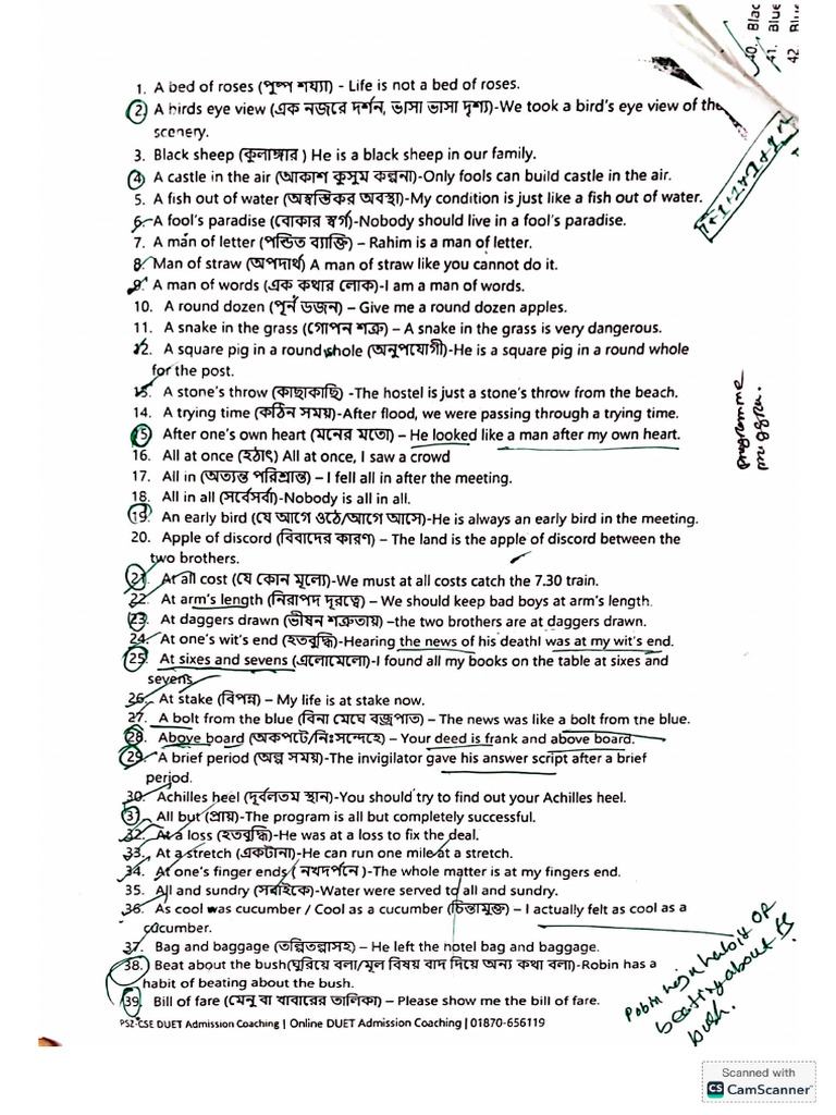 Idioms and Phrases | PDF