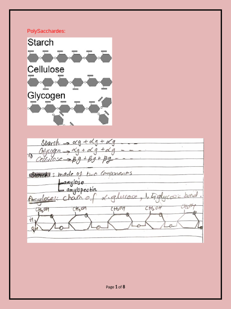 STRUCTURE OF Polysaccharides | PDF
