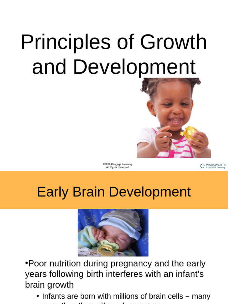 Chapter 2 X | PDF | Perception | Learning