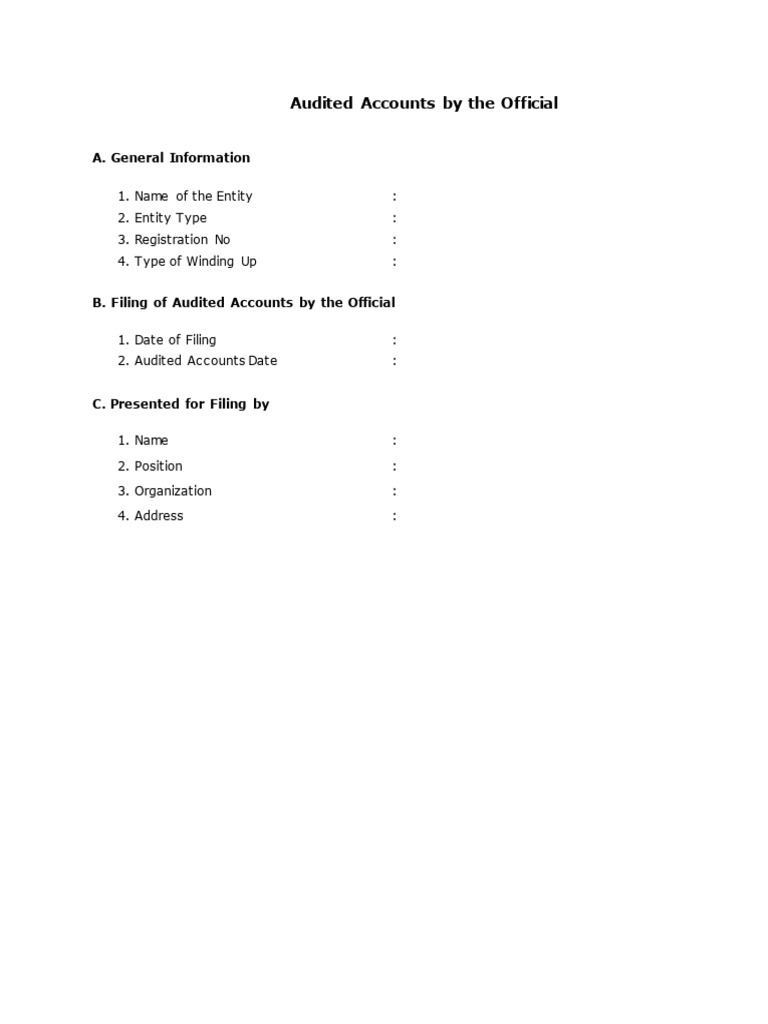 Audited Accounts Filing Guide | PDF
