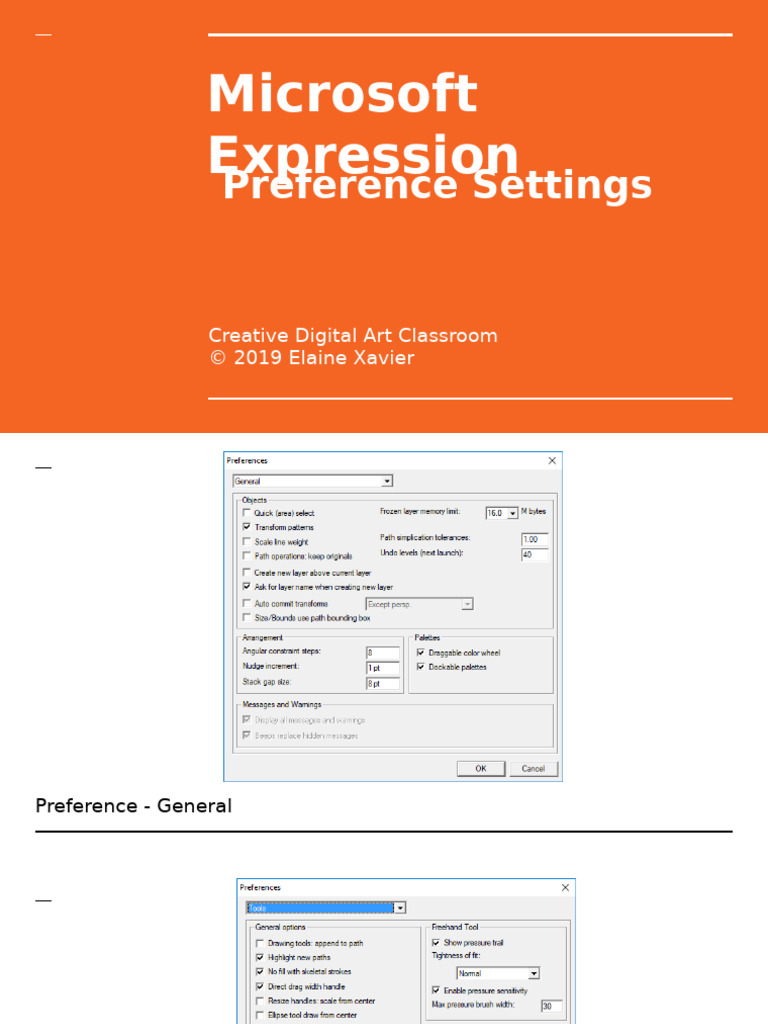 Microsoft Expression - Preference Settings | PDF