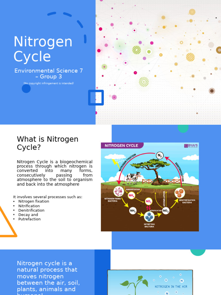 Nitrogen Cycle | PDF | Nitrogen | Soil Science