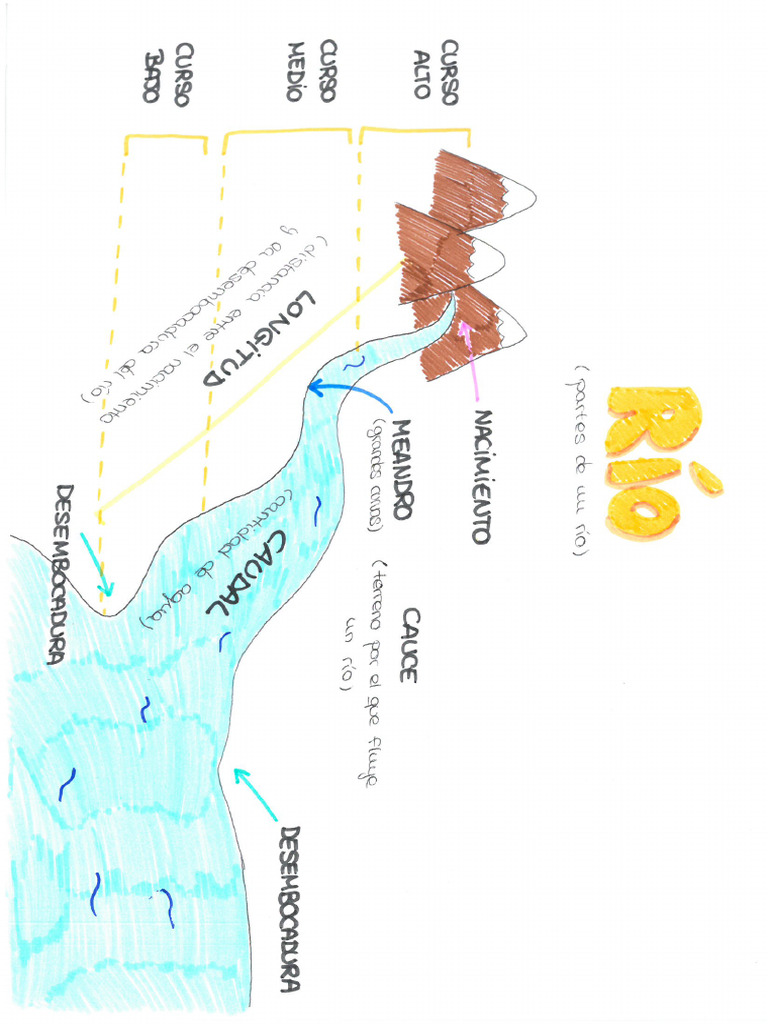 Esquema Sociales | PDF