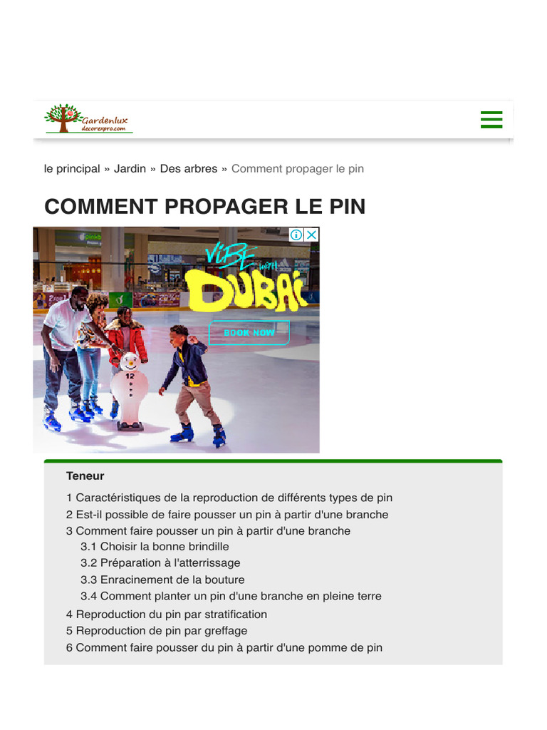 Guide complet pour propager le pin | PDF | Greffe (botanique) | Racine