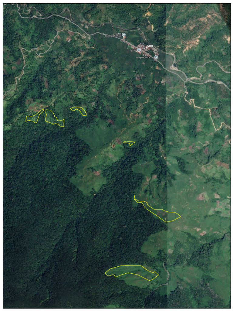 Peta TORA Gayo Lues 2 | PDF