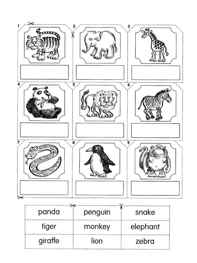 Animal - Labelling | PDF