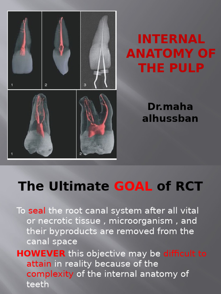 Internal Anatomy of The Pulp | PDF | Periodontology | Dentistry Branches