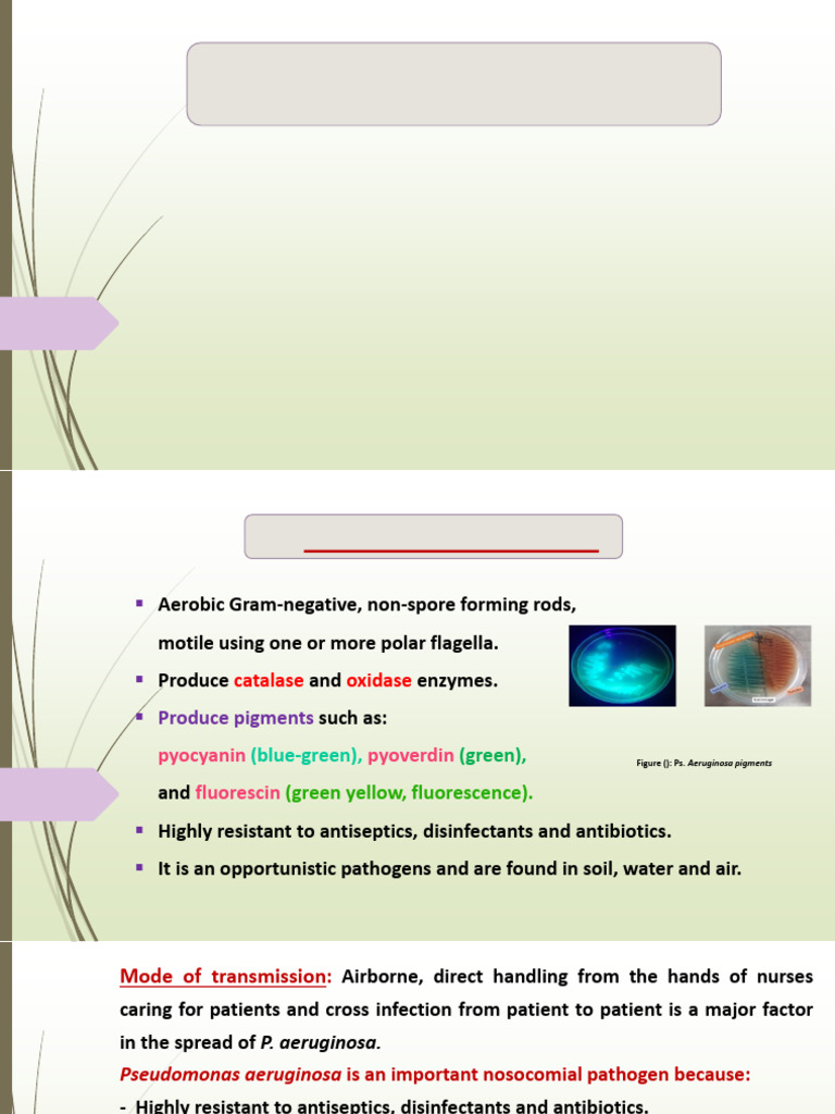 Week 7 Gram Ve Bacilli II Ps SPP, V Cholera, H Pylori, Campylobacter ...