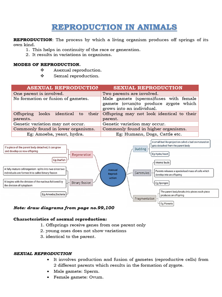 Bio Notes | PDF | Reproduction | Reproductive System