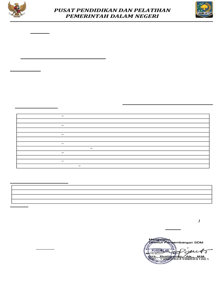 Surat PDN Jakarta Des 2024 SKPD Asli | PDF