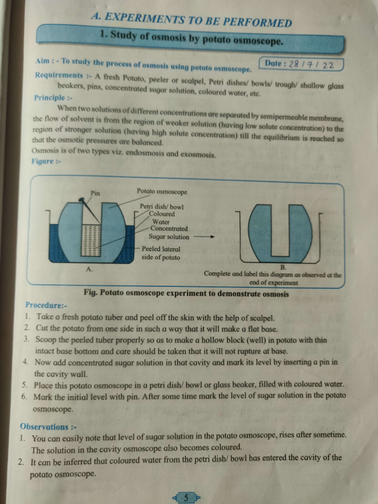 Biology Practical HSC | PDF