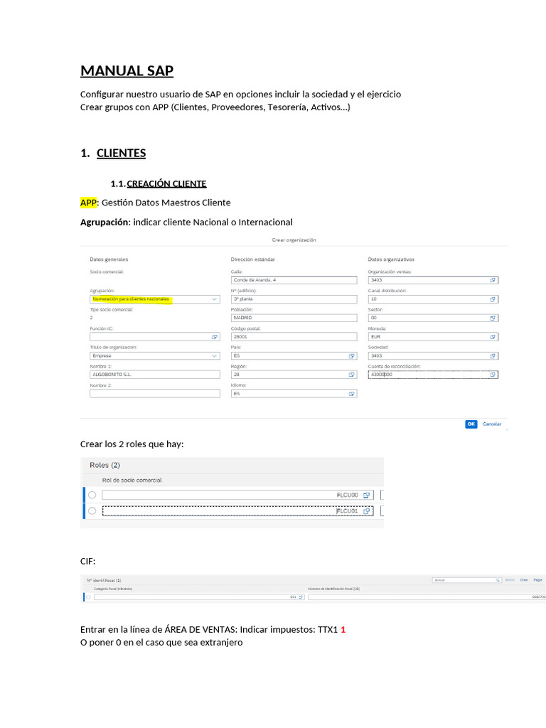 MANUAL SAP (Clientes) | PDF