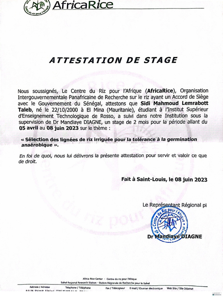 Attestation de Stage Africa Rice | PDF