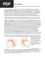 Función y Estructura de Valvas Semilunares | PDF | Circulación ...