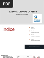 Nutación y Contranutación en la Pelvis | PDF | Pelvis | Sistema esquelético