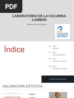 Evaluacion Columna Lumbar y EEII | PDF | La columna vertebral | Rodilla