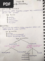 Life Process Handwritten Notes Class 10th | PDF
