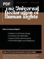 UN Human Rights Declaration Summary | PDF | Ethical Principles | Government