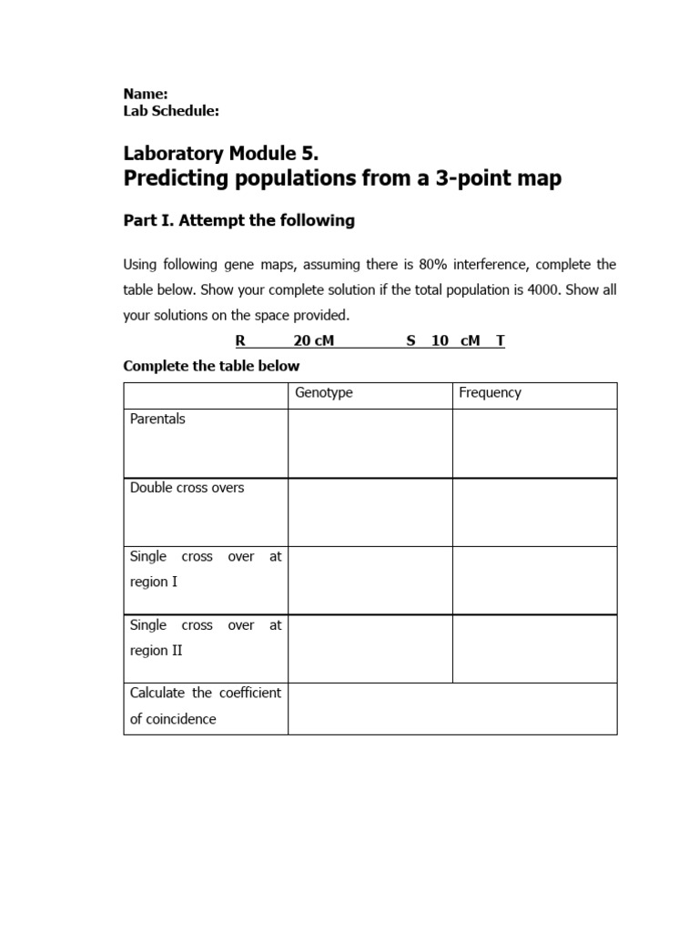 Laboratory Assessment 5 | PDF