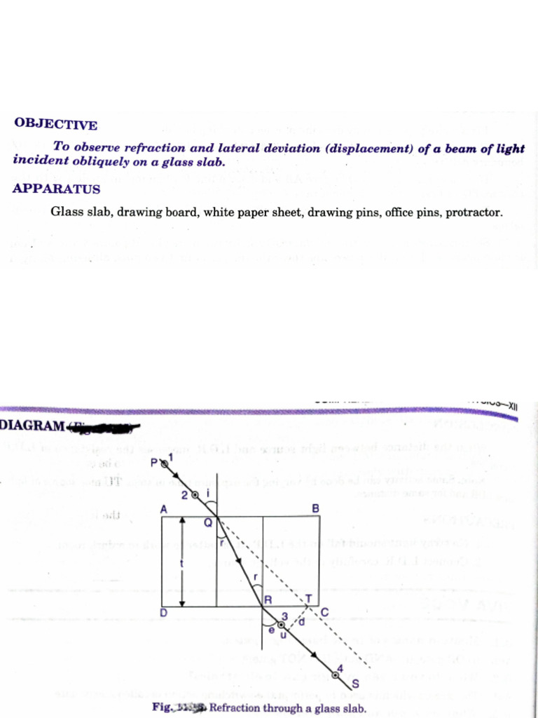 Activity 3 (Physics) - Compress | PDF