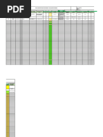 FORMATO IRL (Ex ODI) | PDF
