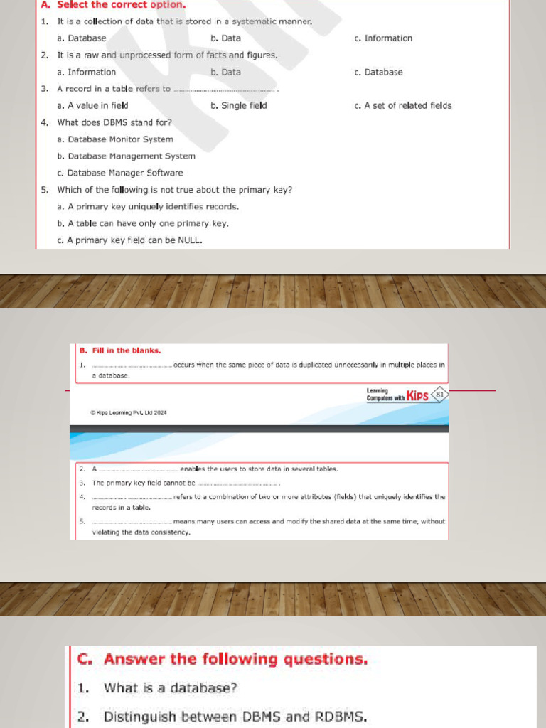 Class 10 Database | PDF