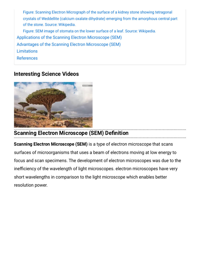 Scanning Electron Microscope (SEM) - Principle, Parts, Uses - Microbe ...