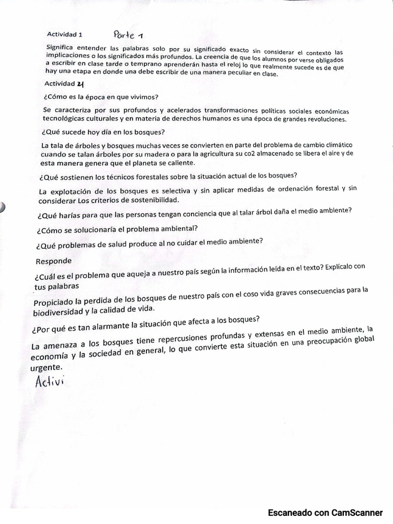 Dependencia de Lo Literal | PDF