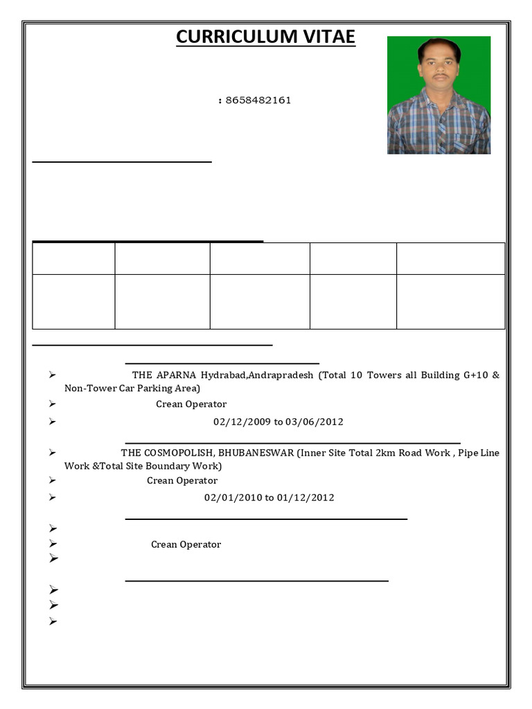 Tower Crane Operator CV | PDF