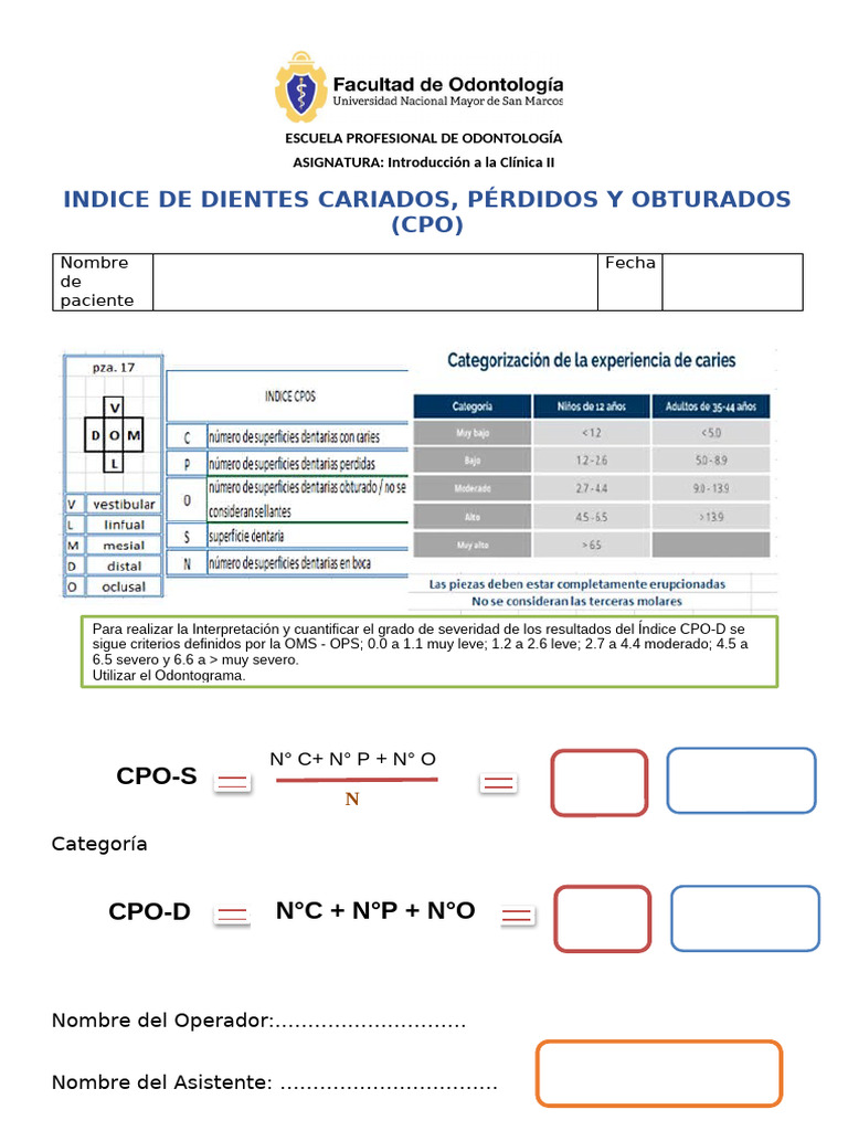 1.1. Formato Índice Cpo-D y Cpo-S 2024-II | PDF