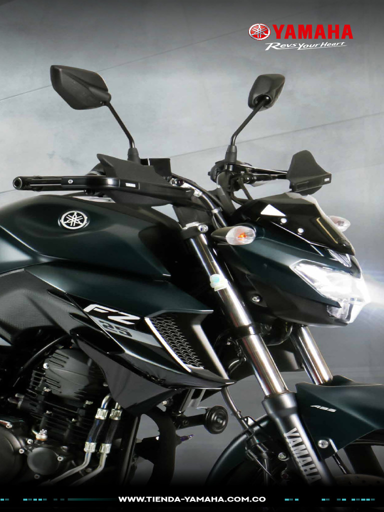 Accesorios FZ25 NUMERADA CF | PDF | Materiales de construcción | Materiales