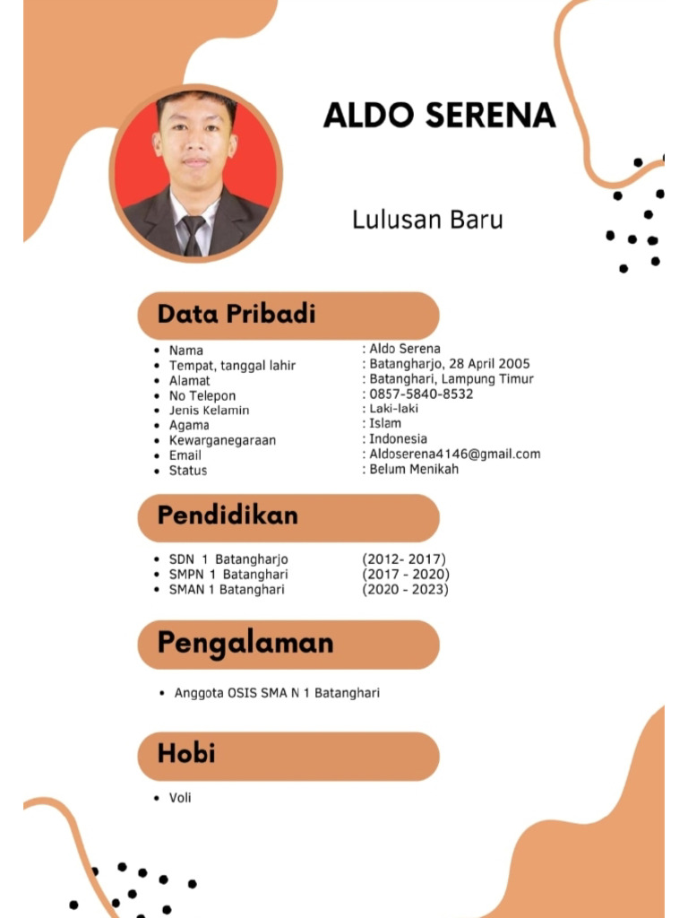 CV Aldo | PDF