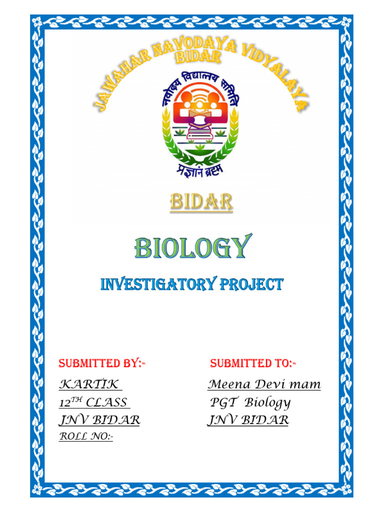 Kartik Agsi Biology Project | PDF | Human Genome | Base Pair