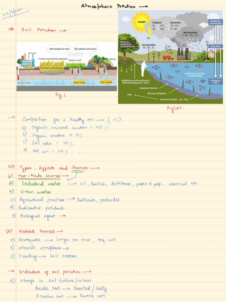 Notes - Pollution | PDF