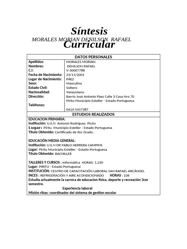 Perfil Académico y Laboral de Denilson Morales | PDF