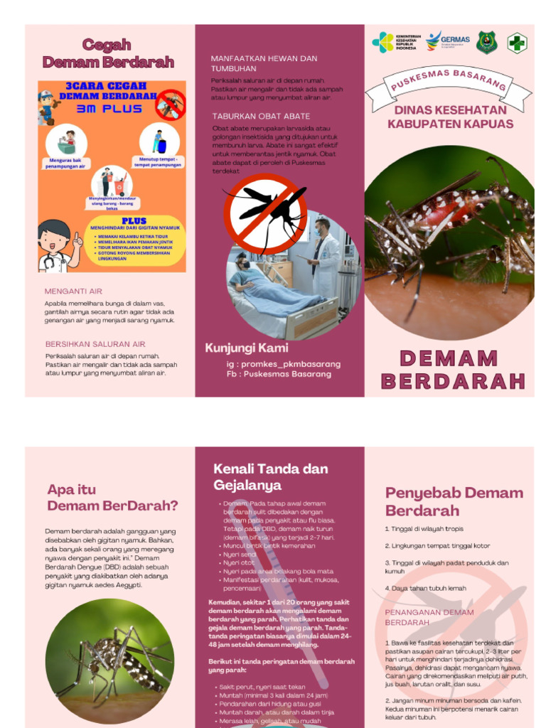 Leaflet DBD | PDF