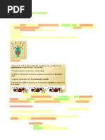 El Mamon en Venezuela | PDF | Alimentos | Plantas comestibles