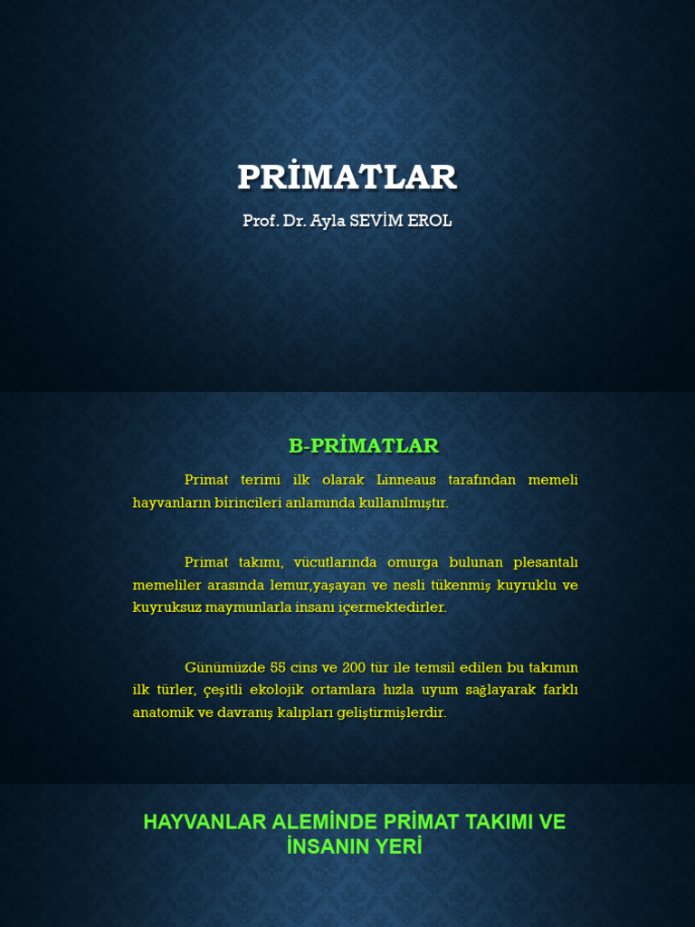 Primatlar | PDF