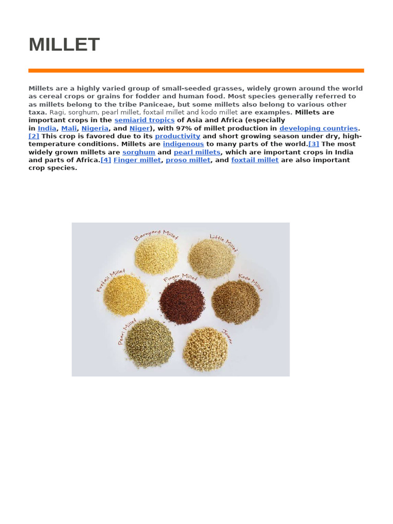 Millet: Ragi, Sorghum, Pearl Millet, Foxtail Millet and Kodo Millet | PDF