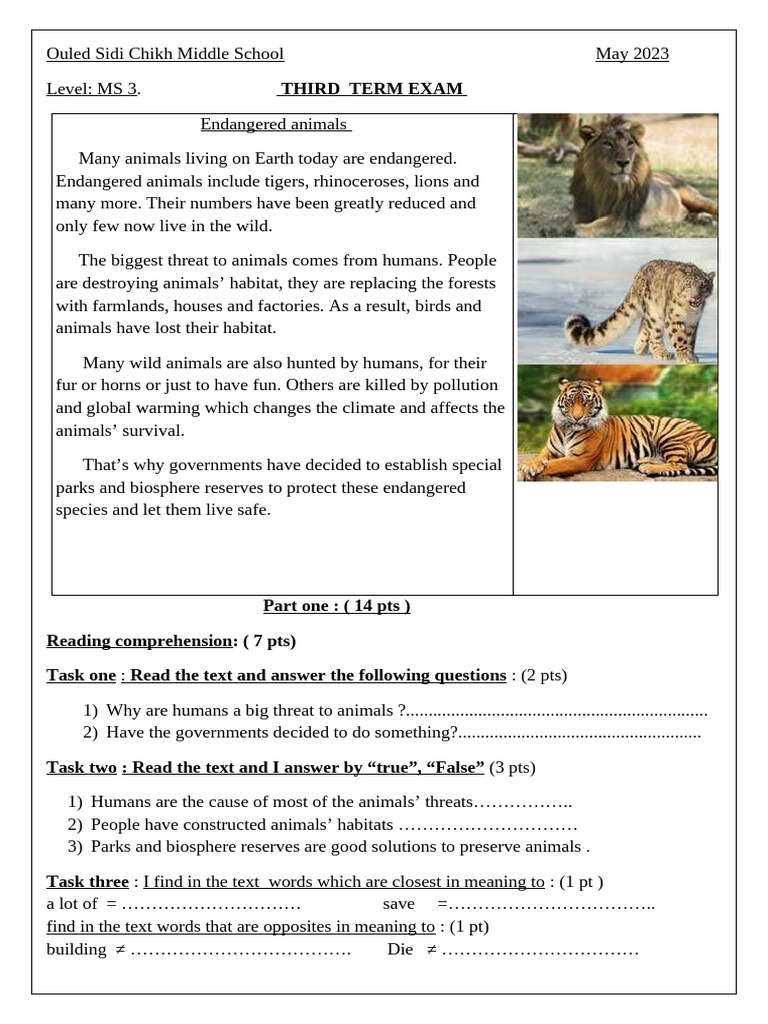 Third Term Exam | PDF