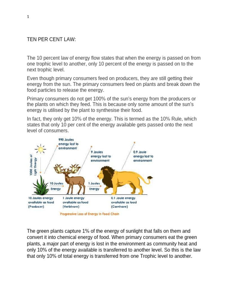 10% Energy Transfer in Trophic Levels | PDF